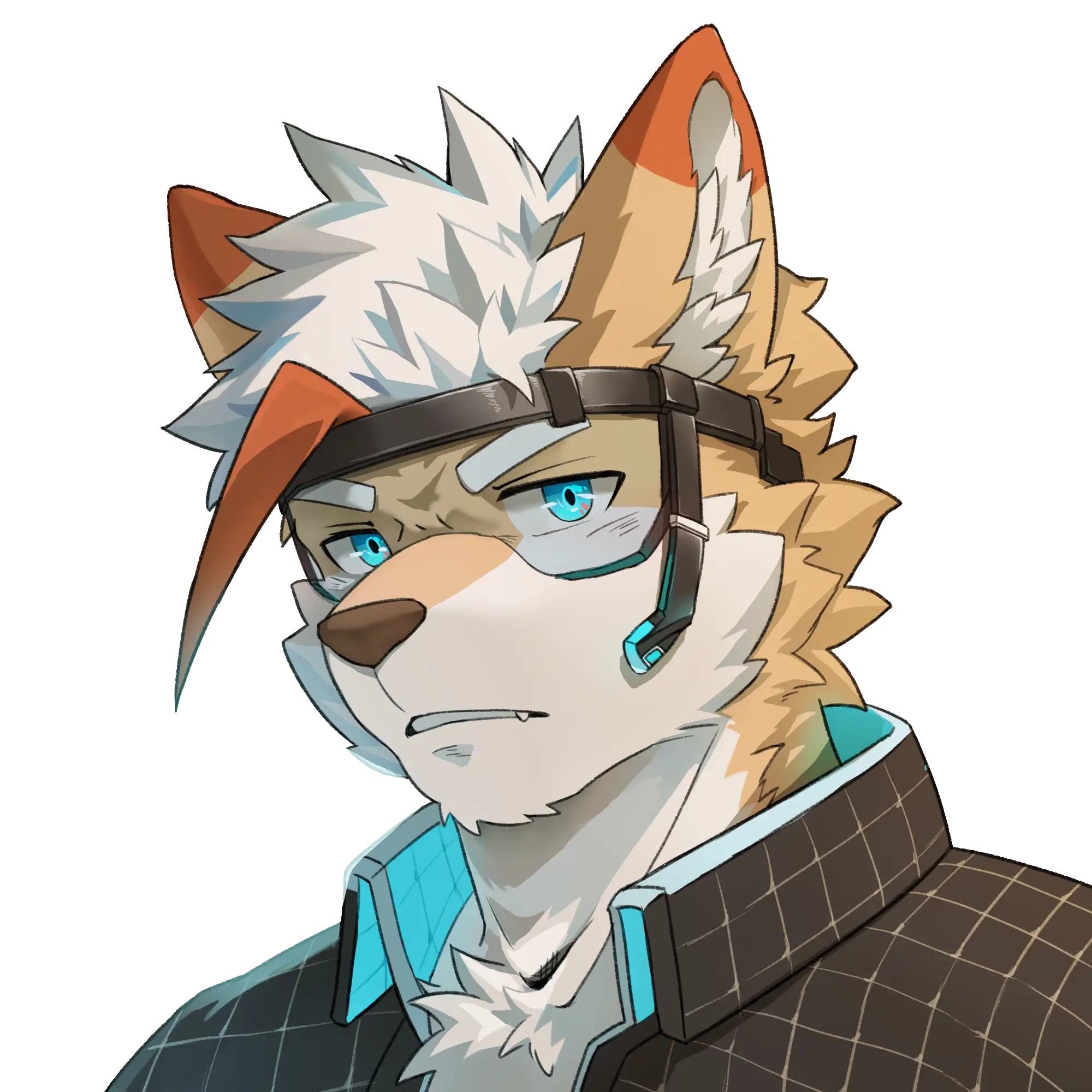 LF112「@futiwolf」- 伏科一